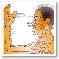 How does Acupuncture work? – Health In The Bay